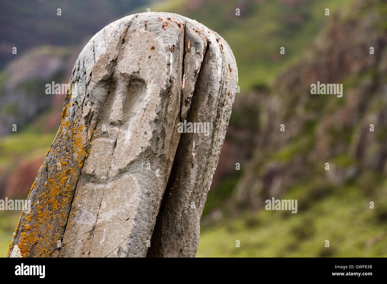 Ancient deer stone at the Altai region, Russia. Deer stones (also known ...