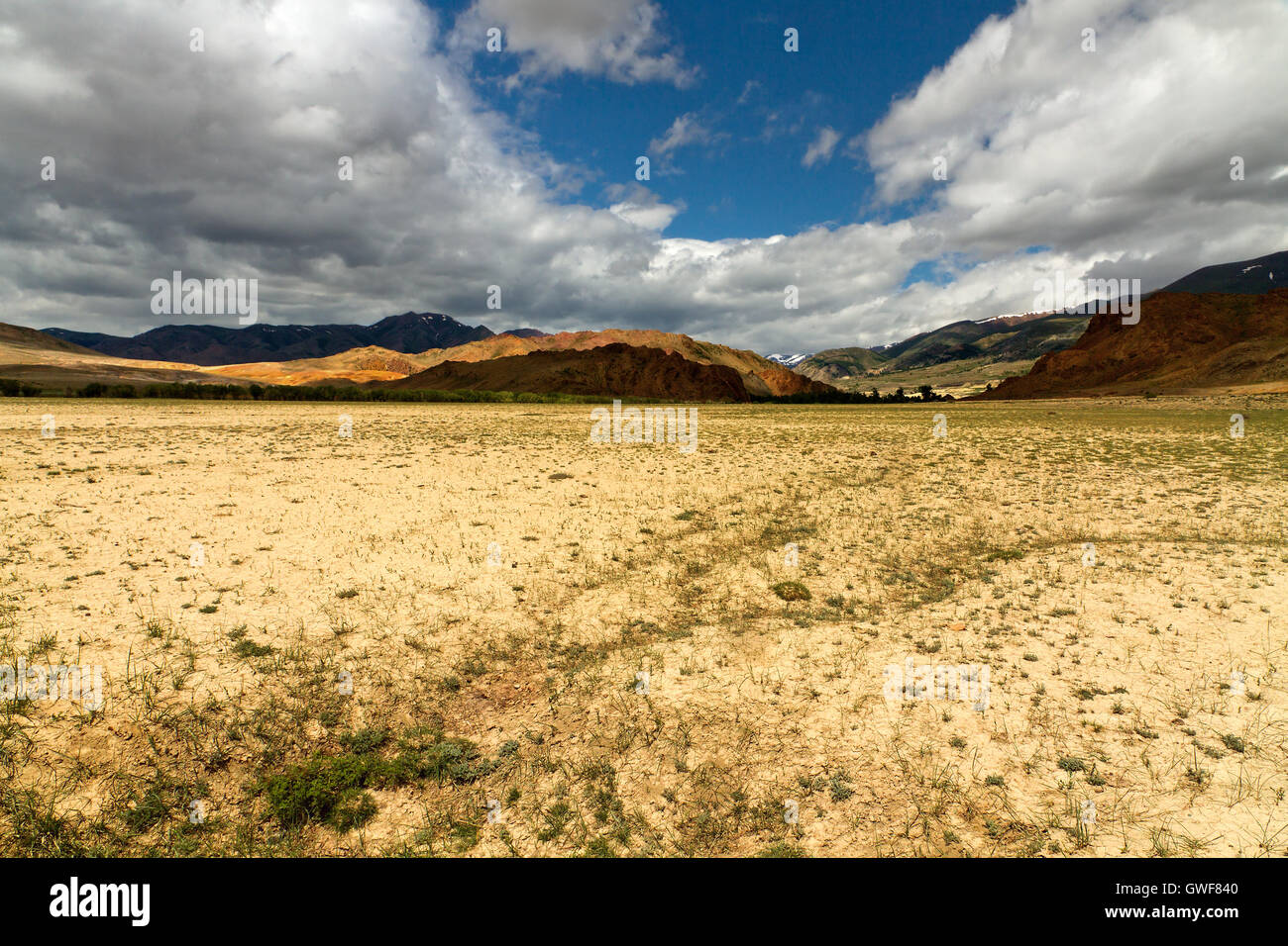 Semi desert landscape desert plants hi-res stock photography and images ...