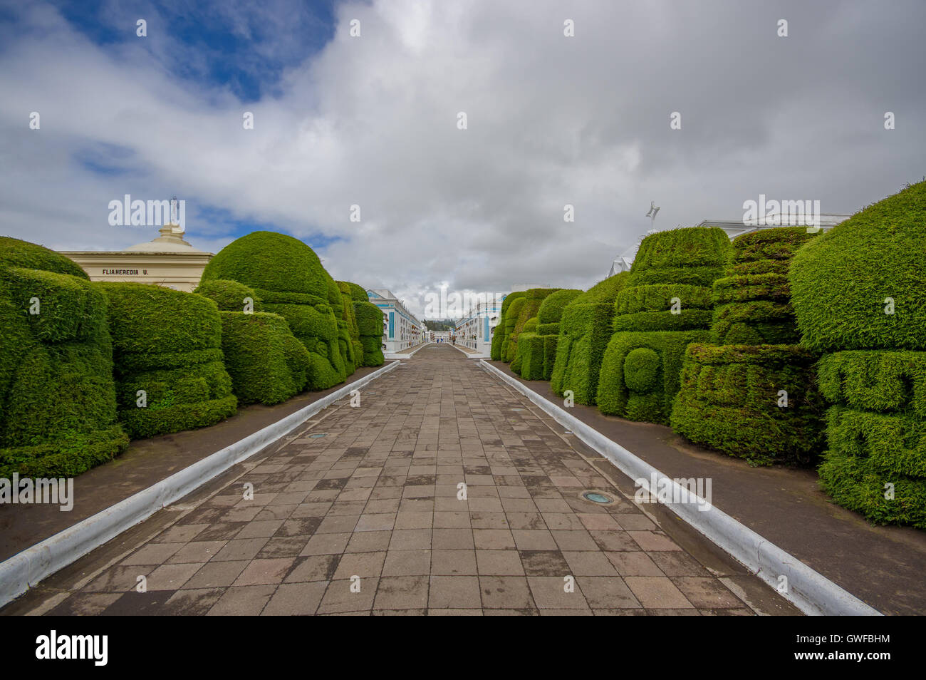 TULCAN, ECUADOR - JULY 3, 2016: topiary sculptures on the sides of the ...
