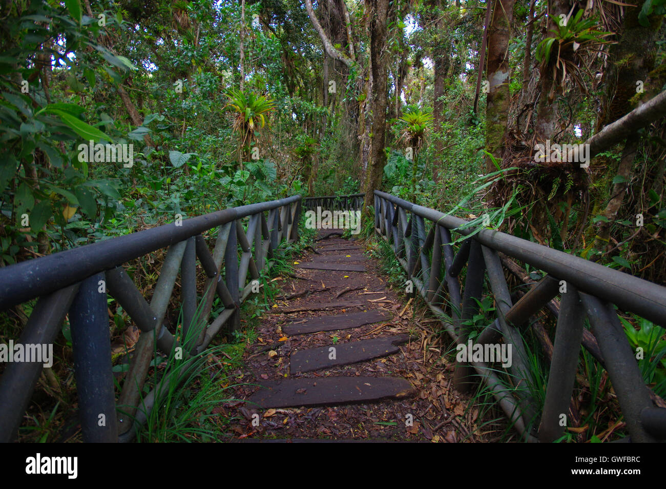 PASTO, COLOMBIA - JULY 3, 2016: la cocha lake is one of the biggest ...