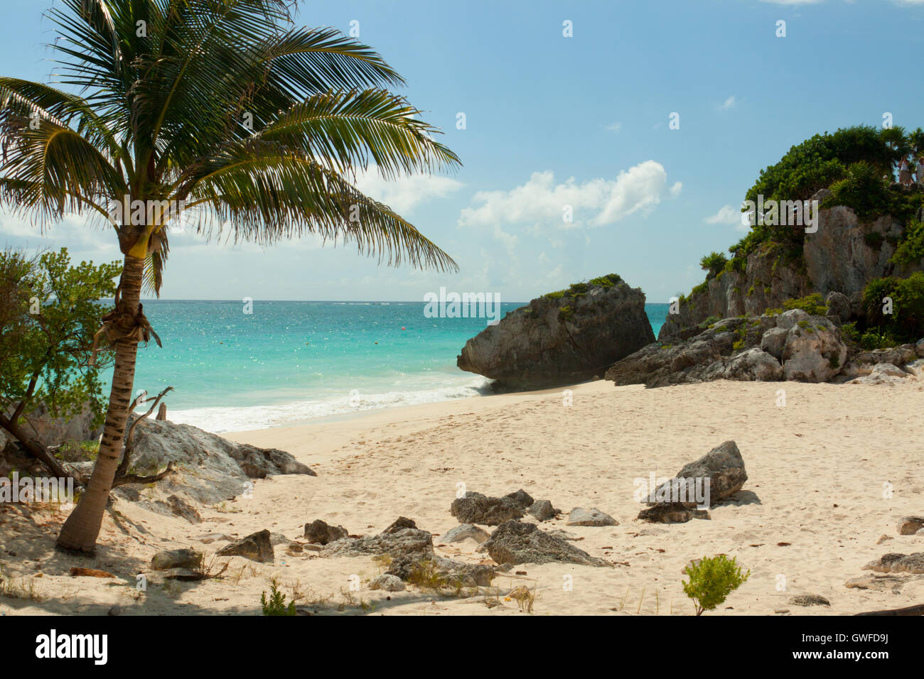 View of the Caribbean beach Stock Photo - Alamy