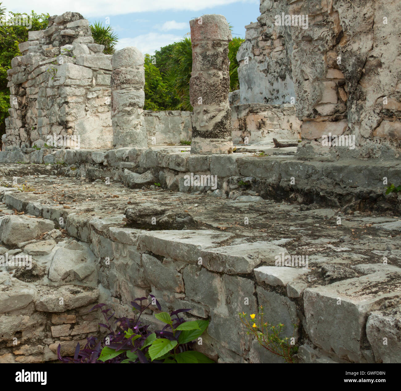 Mayan Ruins of Tulum, Yucatan Peninsula, Mexico Stock Photo - Alamy
