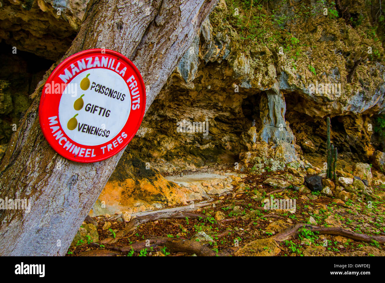 Hato caves curacao High Resolution Stock Photography and Images - Alamy