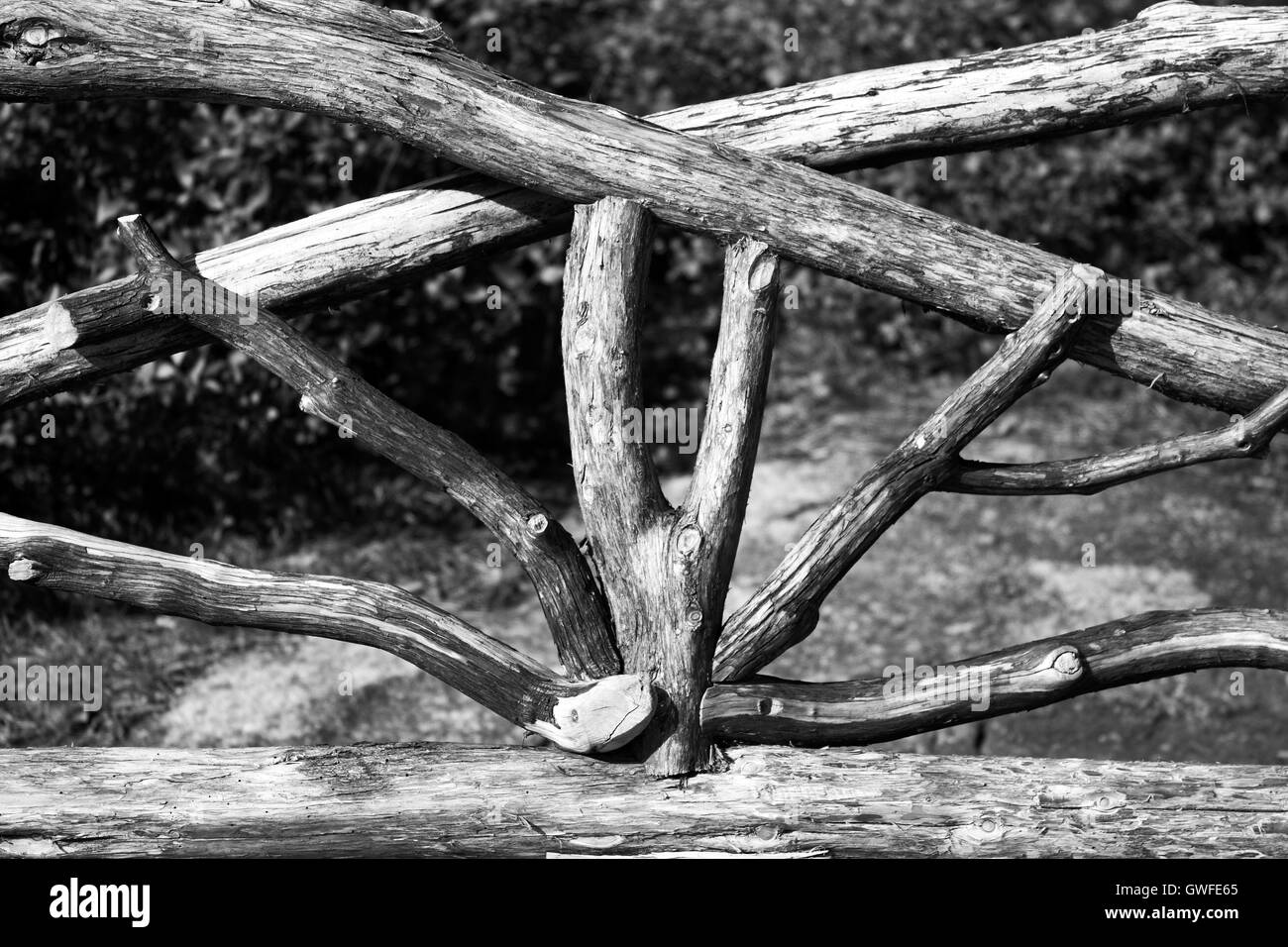 Wooden Bench made from dry tree branches in black and white Stock Photo ...