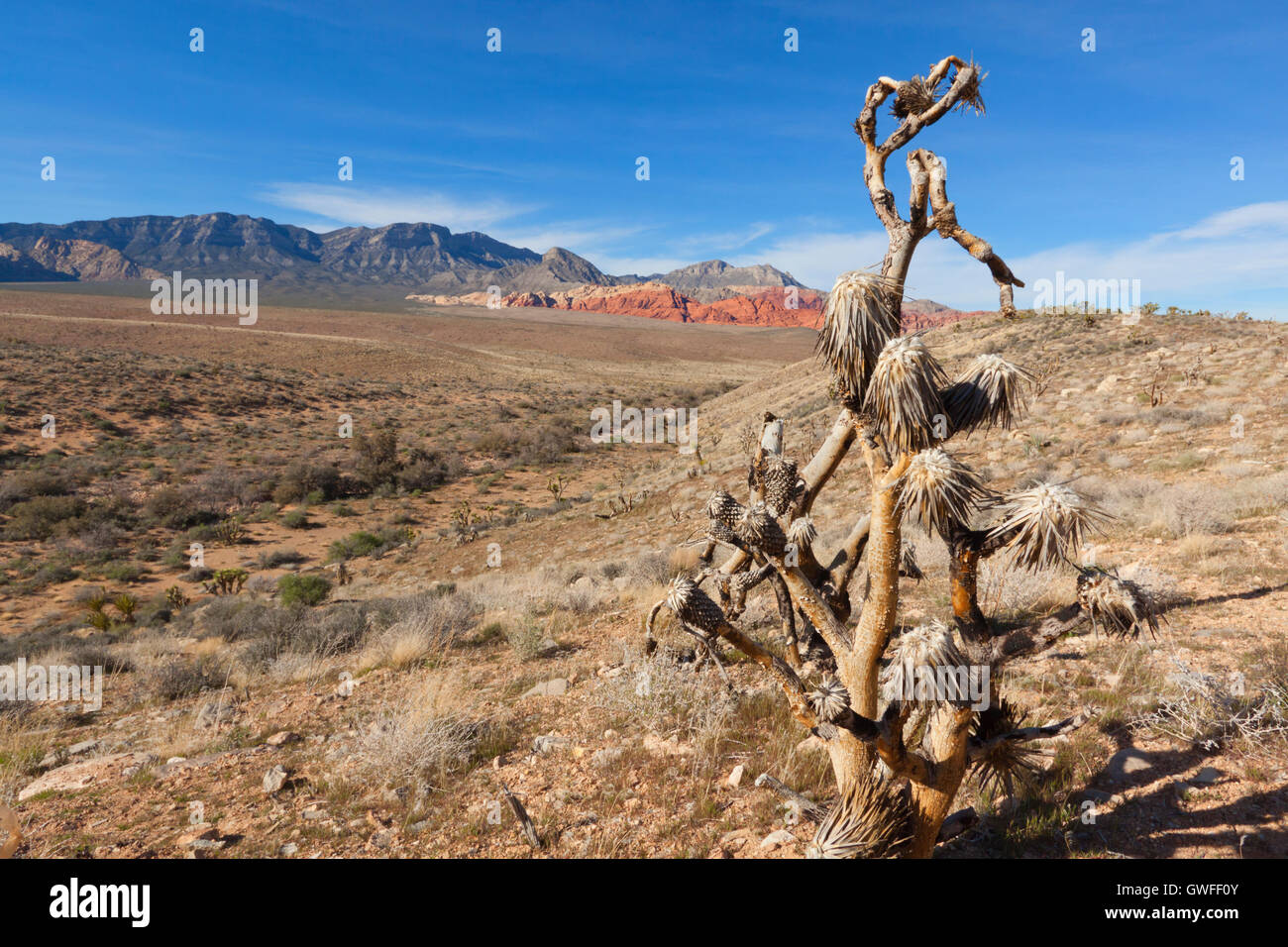 View of dry landscape and red rock formations of the Mojave Desert ...