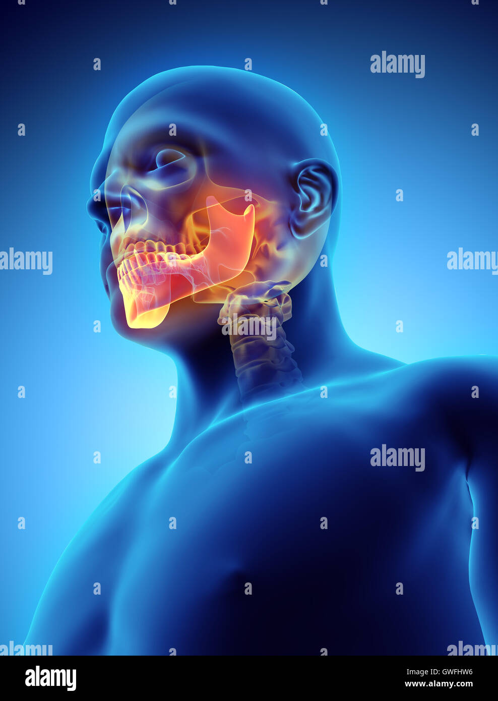 X ray mandible science hi-res stock photography and images - Alamy