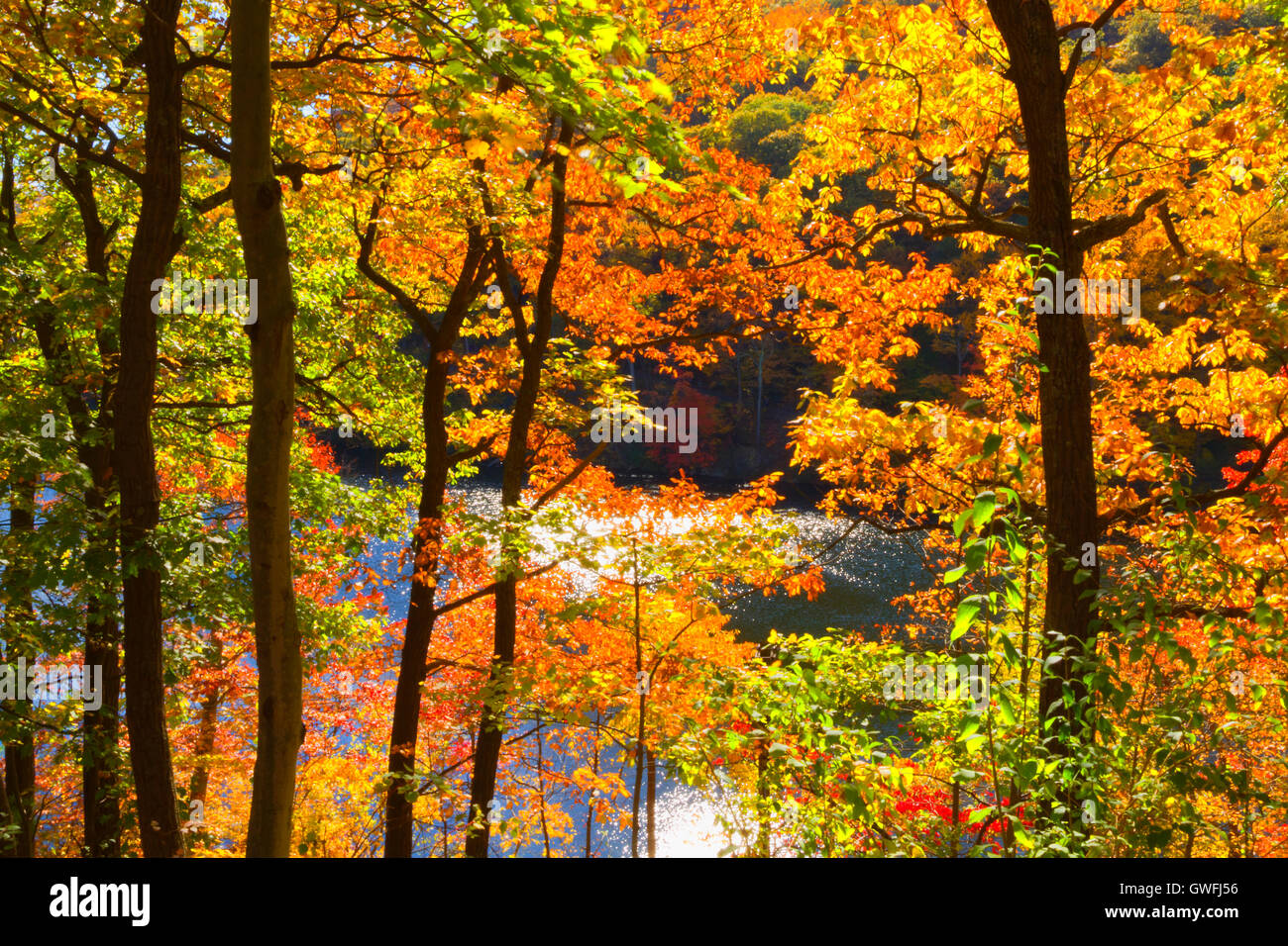 Colorful fall scenery landscapes Stock Photo - Alamy