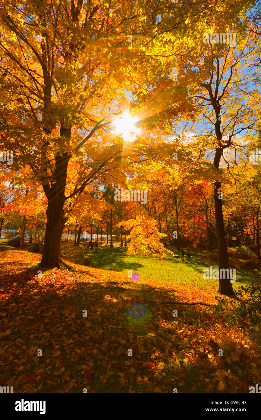 Colorful fall scenery landscapes Stock Photo - Alamy