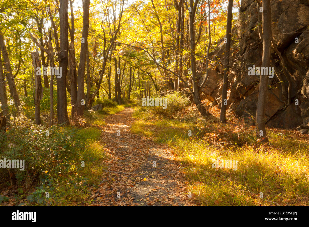 Beautiful Fall scenery in Upstate New York Stock Photo - Alamy