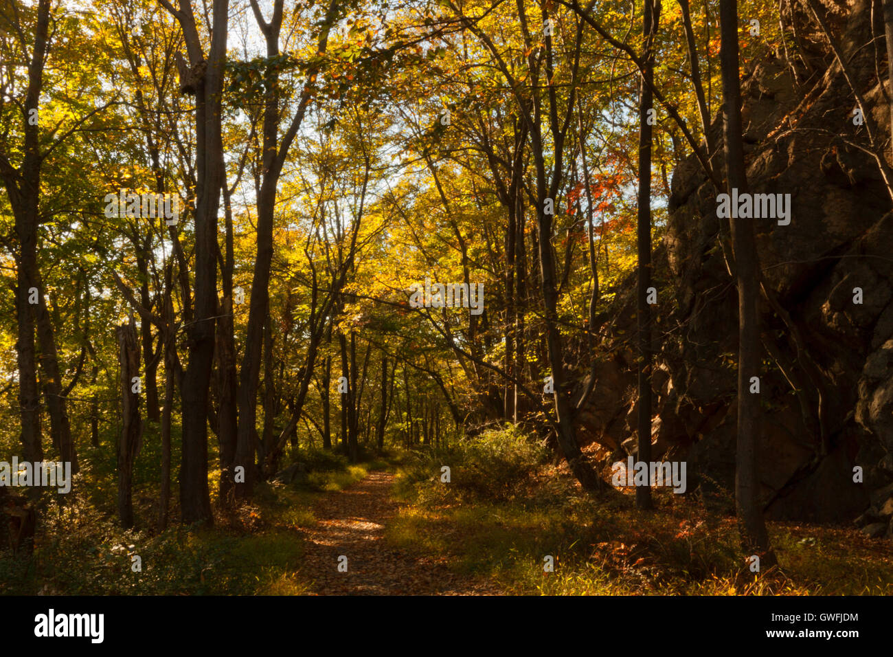 Beautiful Fall scenery in Upstate New York Stock Photo - Alamy