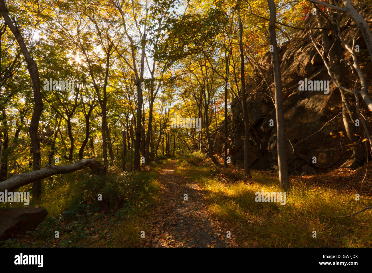 Beautiful Fall scenery in Upstate New York Stock Photo - Alamy