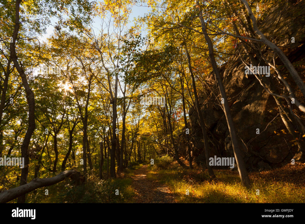 Beautiful Fall scenery in Upstate New York Stock Photo - Alamy