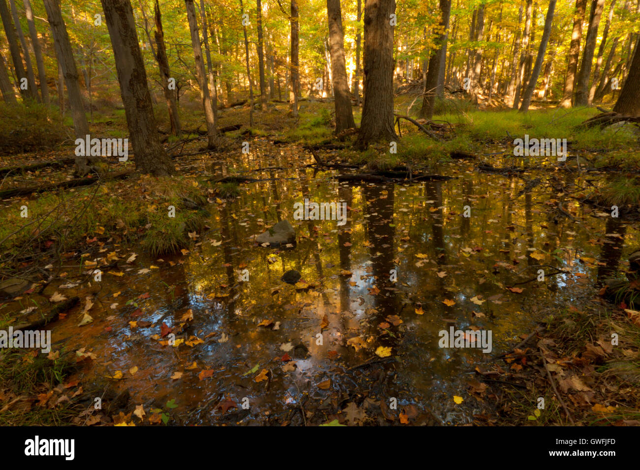 Beautiful Fall scenery in Upstate New York Stock Photo - Alamy