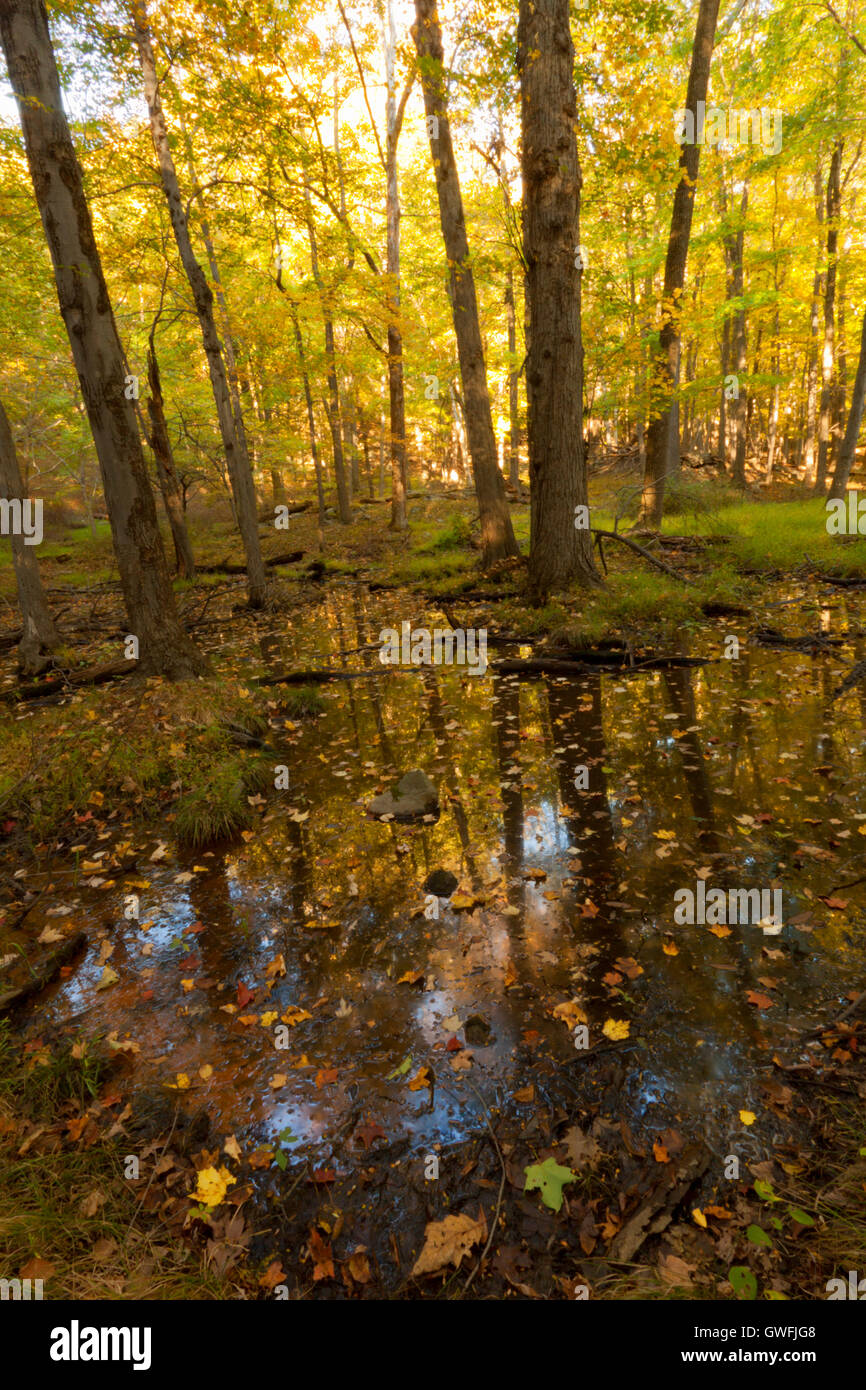 Beautiful Fall scenery in Upstate New York Stock Photo - Alamy
