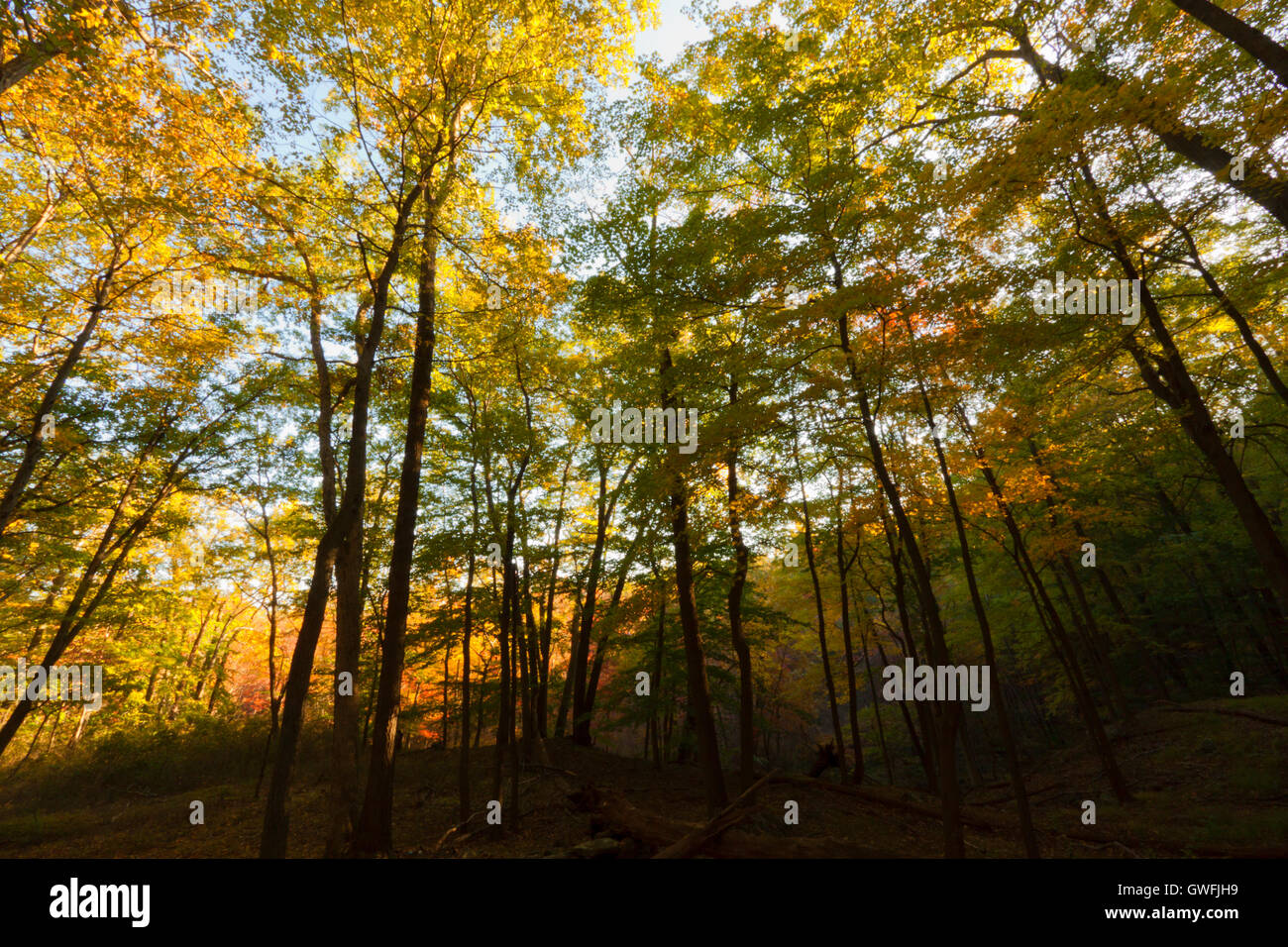 Beautiful Fall scenery in Upstate New York Stock Photo - Alamy