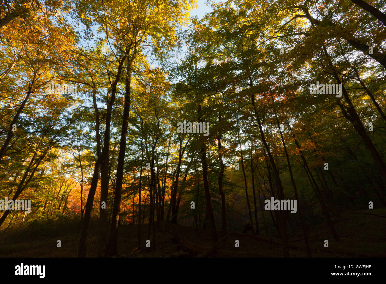 Beautiful Fall scenery in Upstate New York Stock Photo - Alamy