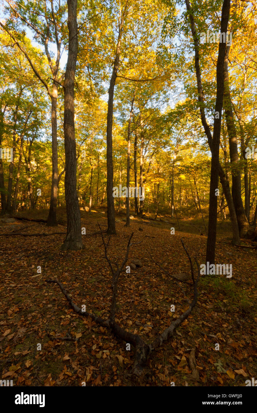 Beautiful Fall scenery in Upstate New York Stock Photo - Alamy