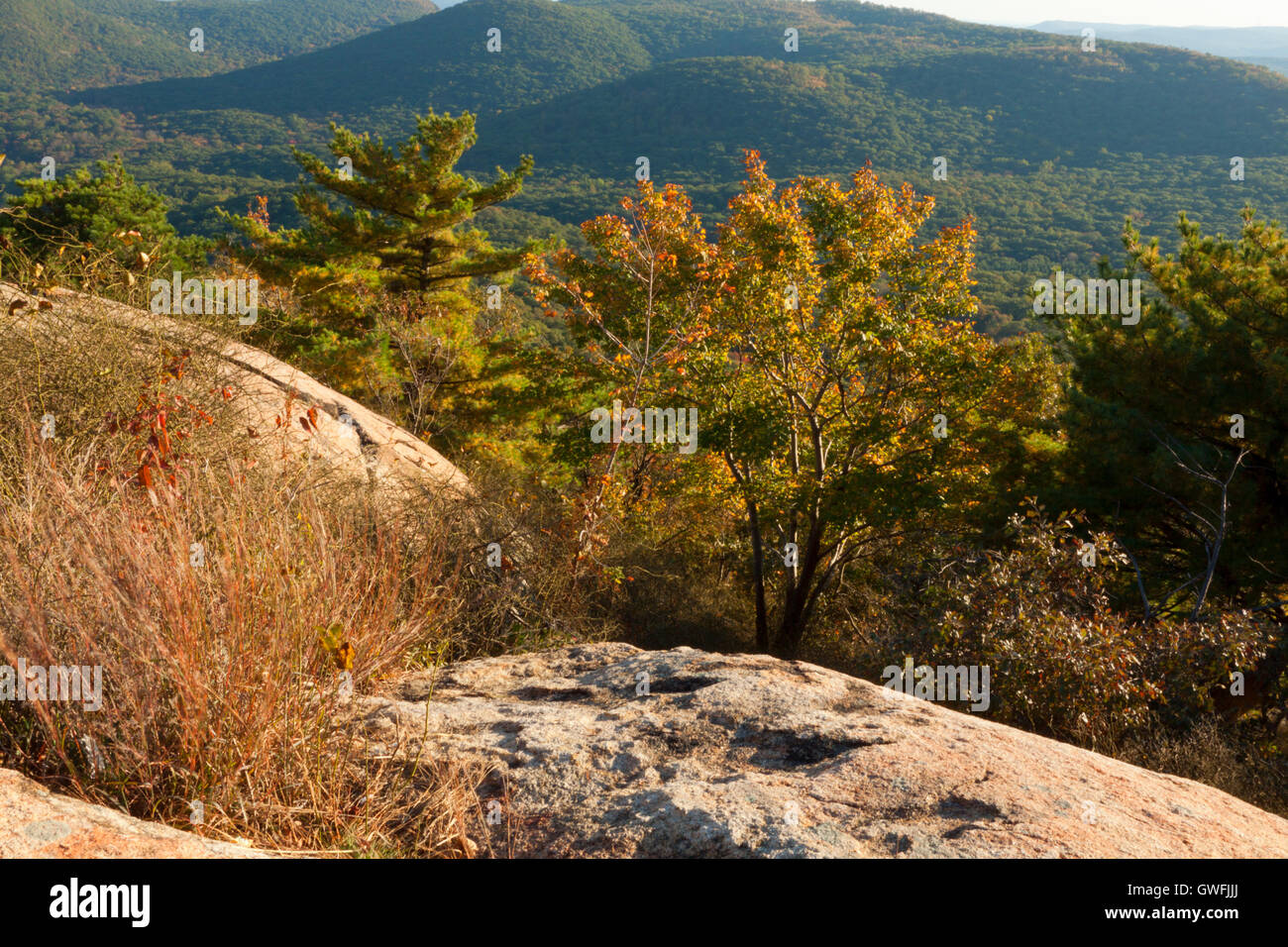 Beautiful Fall scenery in Upstate New York Stock Photo - Alamy