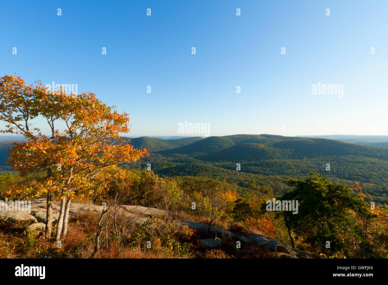 Beautiful Fall scenery in Upstate New York Stock Photo - Alamy