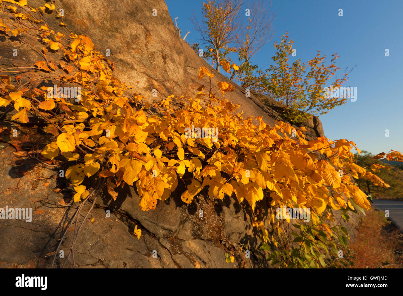 Beautiful Fall scenery in Upstate New York Stock Photo - Alamy