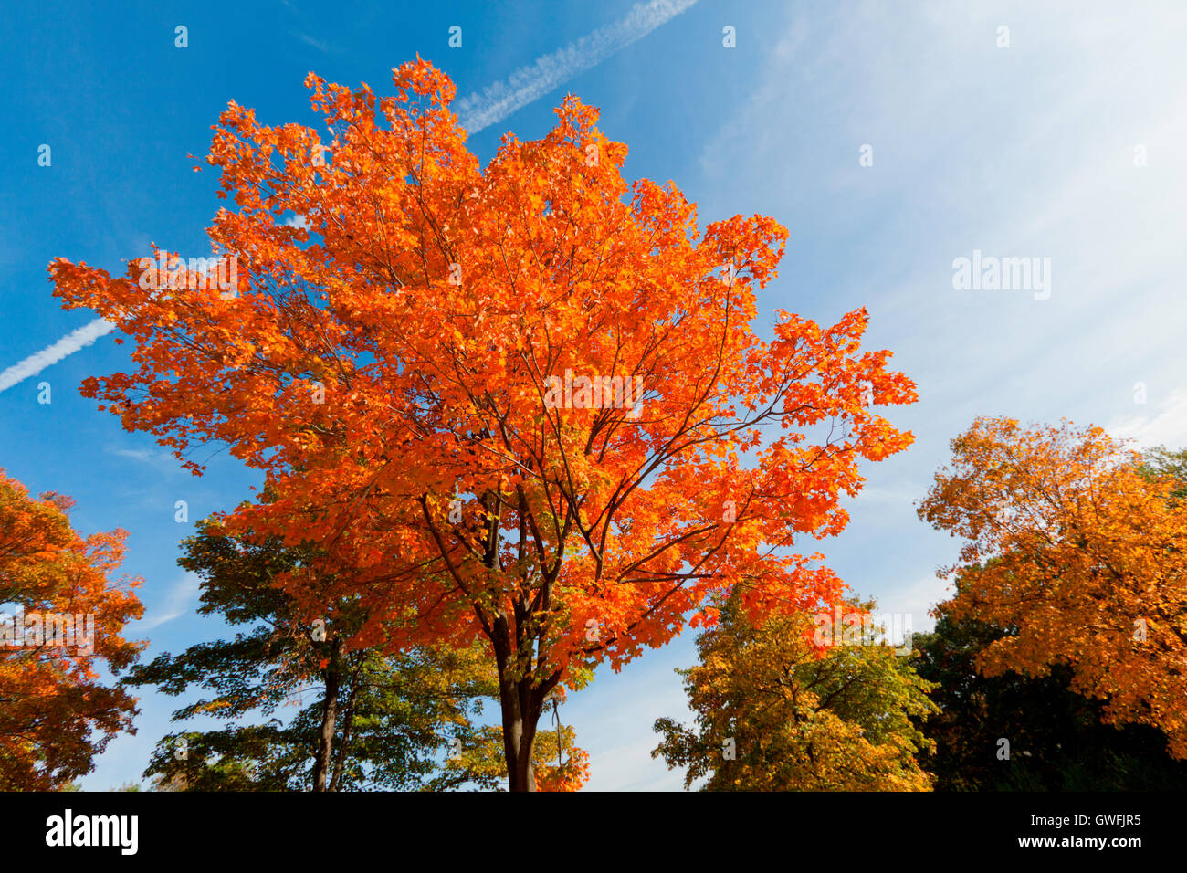 Beautiful Fall scenery in Upstate New York Stock Photo - Alamy