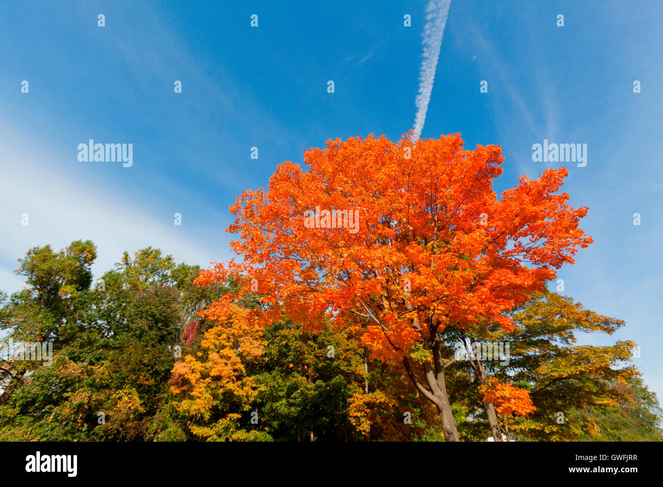 Beautiful Fall scenery in Upstate New York Stock Photo - Alamy