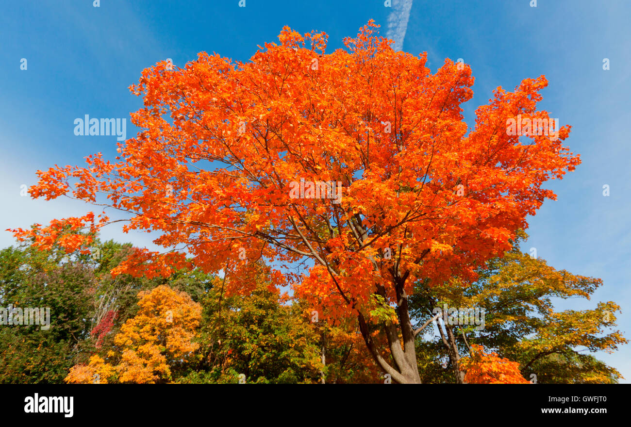 Beautiful Fall scenery in Upstate New York Stock Photo - Alamy