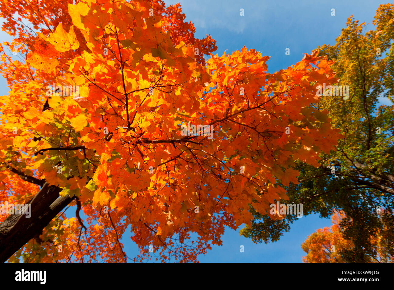 Beautiful Fall scenery in Upstate New York Stock Photo - Alamy