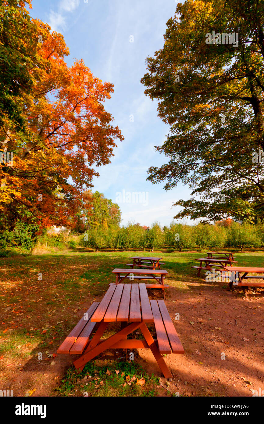 Beautiful Fall scenery in Upstate New York Stock Photo - Alamy