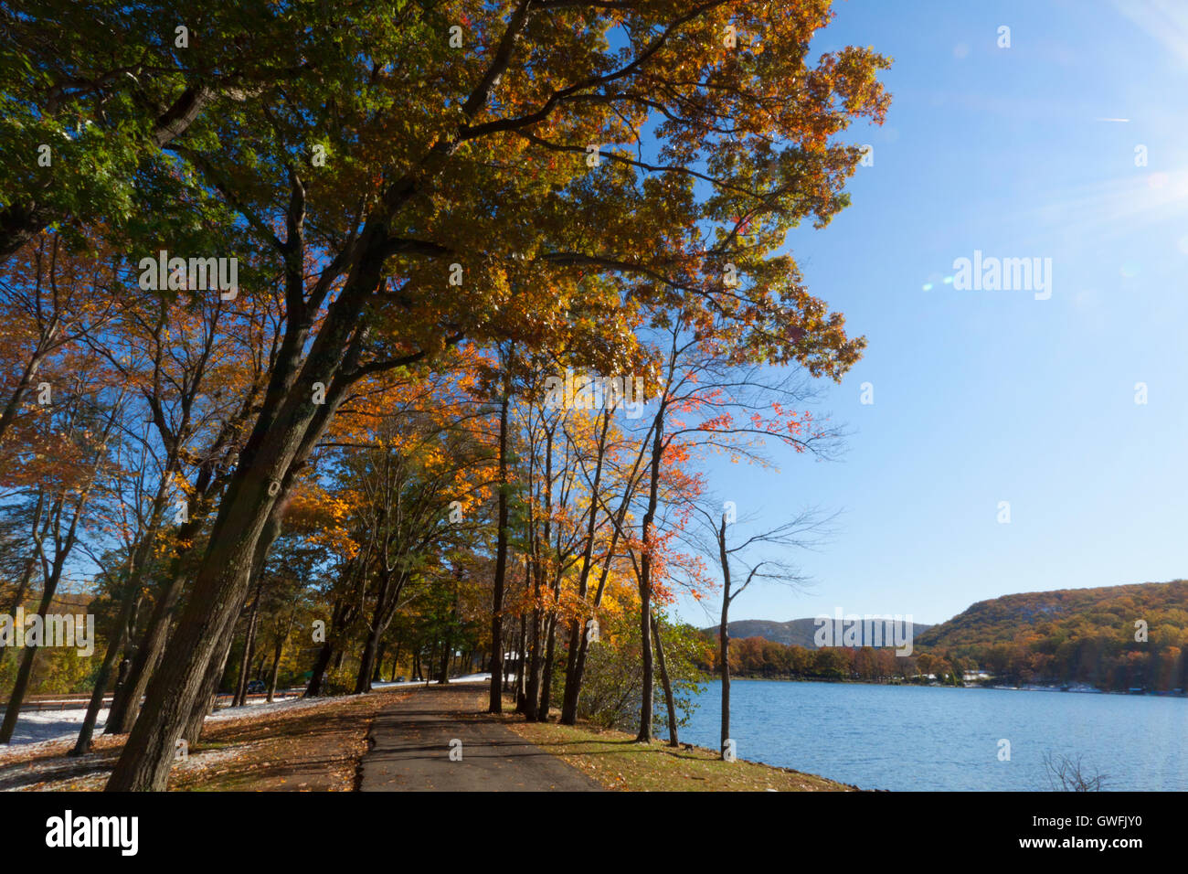 Beautiful fall colors by the forest lake Stock Photo - Alamy