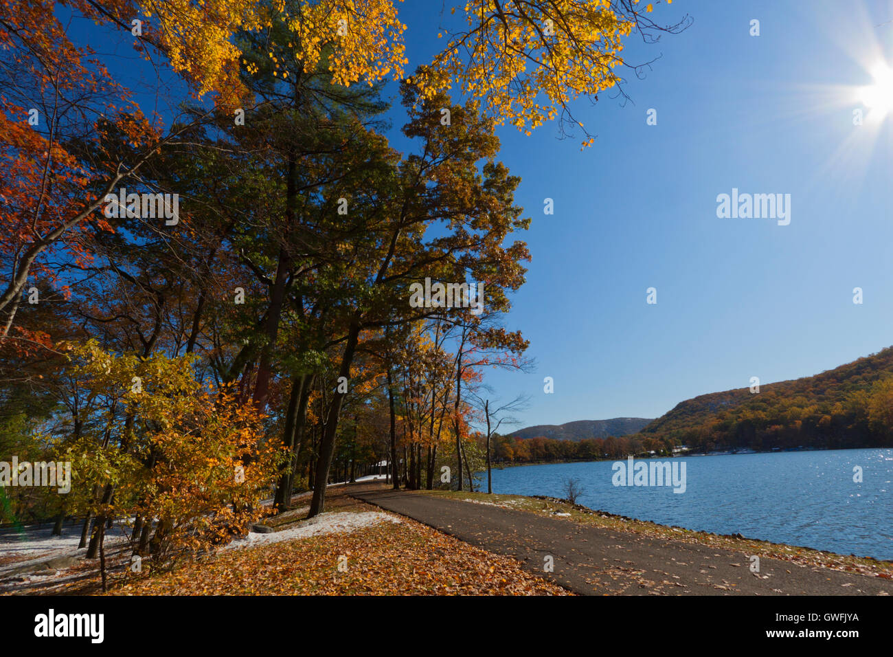 Beautiful fall colors by the forest lake Stock Photo - Alamy