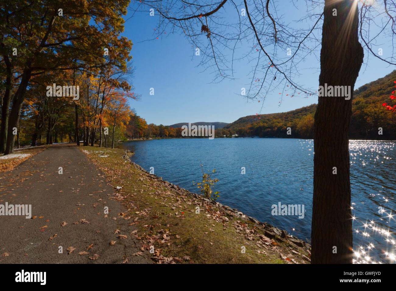 Beautiful fall colors by the forest lake Stock Photo - Alamy