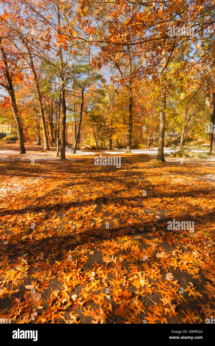Beautiful Fall scenery in New York, USA Stock Photo - Alamy
