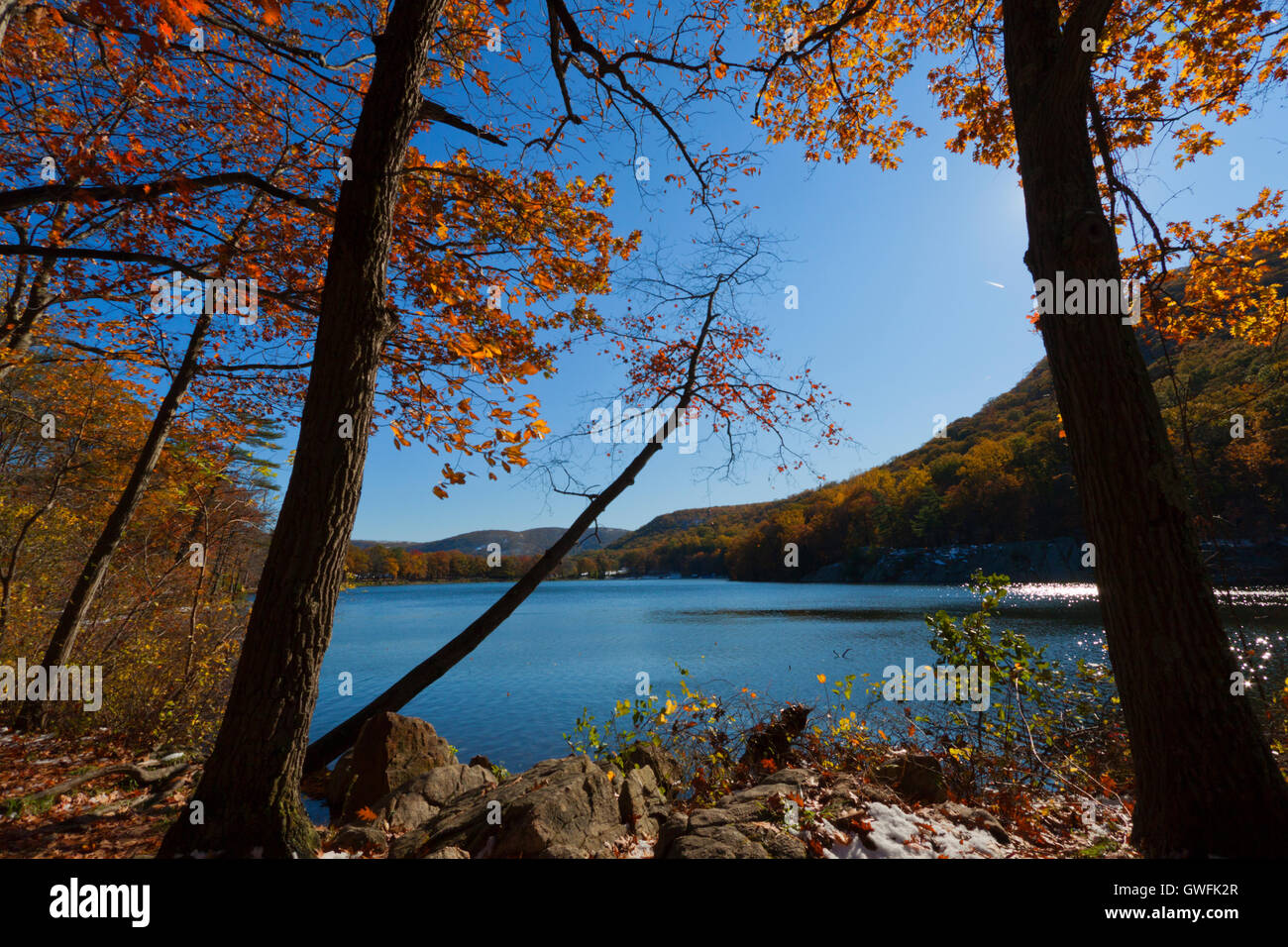 Beautiful fall colors by the forest lake Stock Photo - Alamy