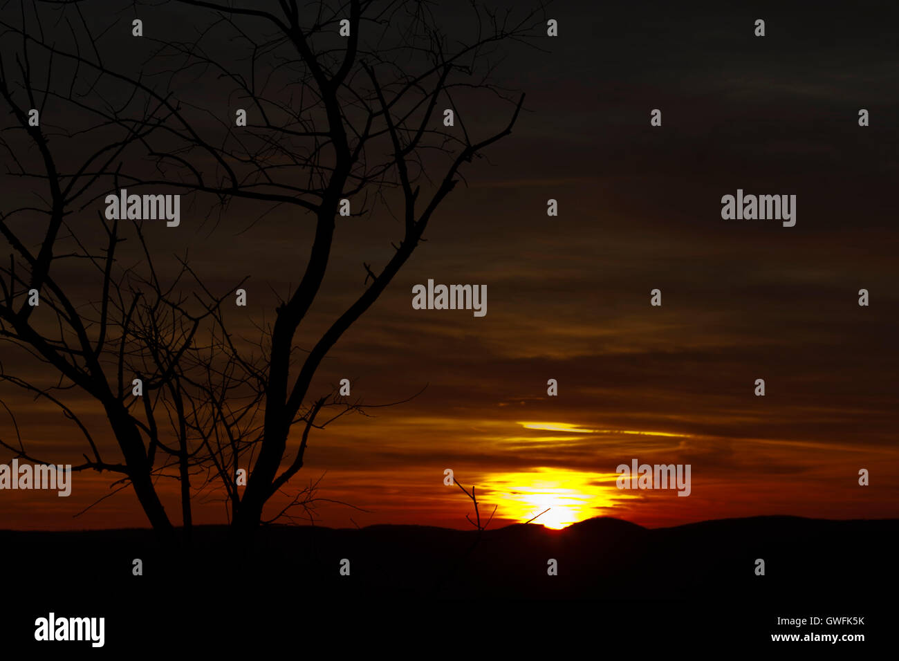 Beautiful natural colors of sunset Stock Photo - Alamy