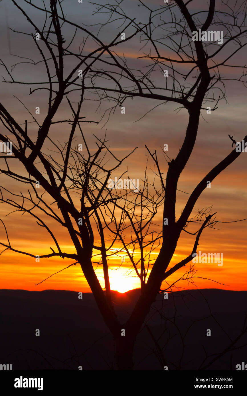 Beautiful natural colors of sunset Stock Photo - Alamy