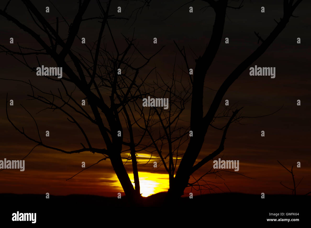 Beautiful natural colors of sunset Stock Photo - Alamy
