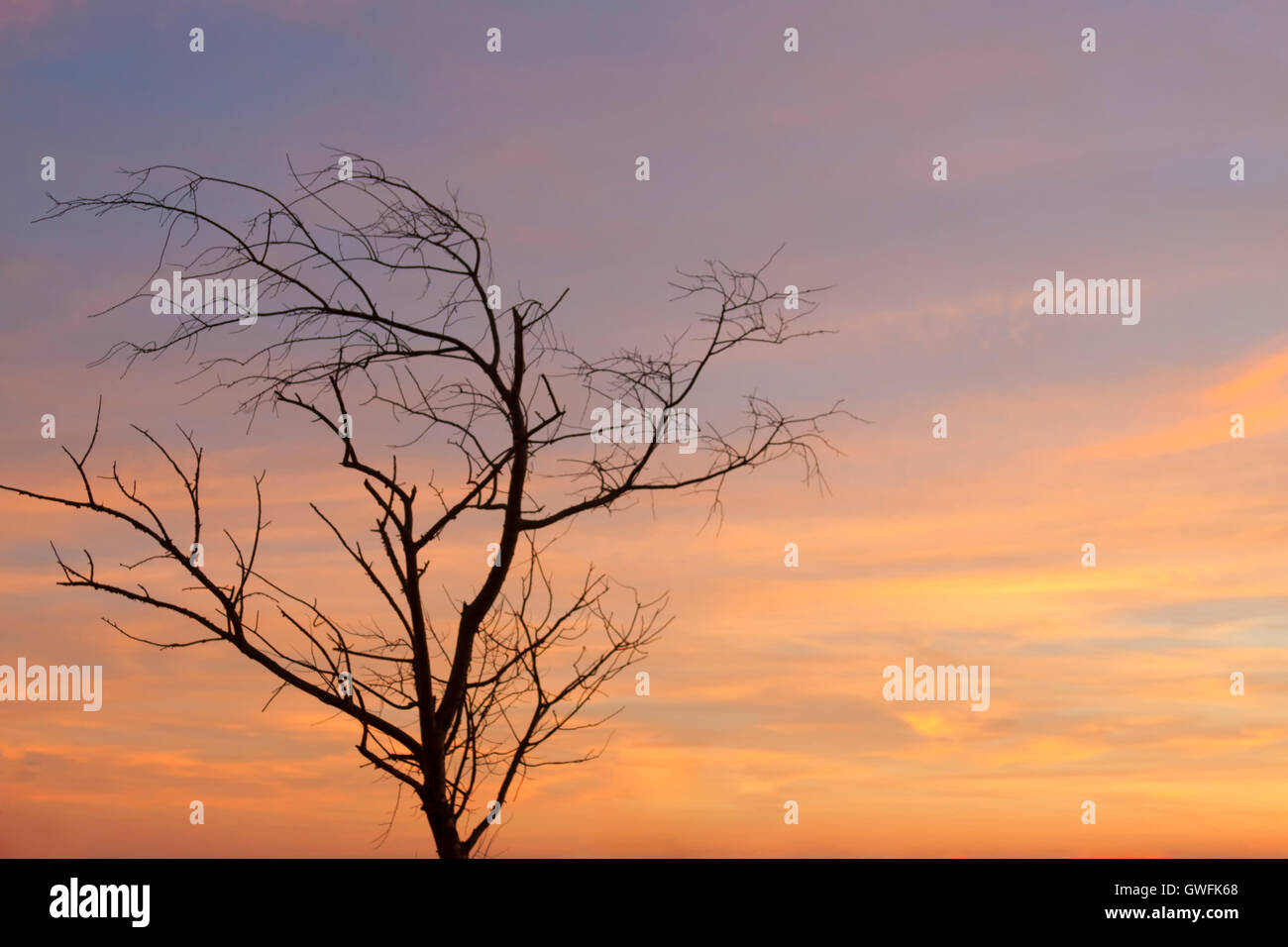 Beautiful natural colors of sunset Stock Photo - Alamy