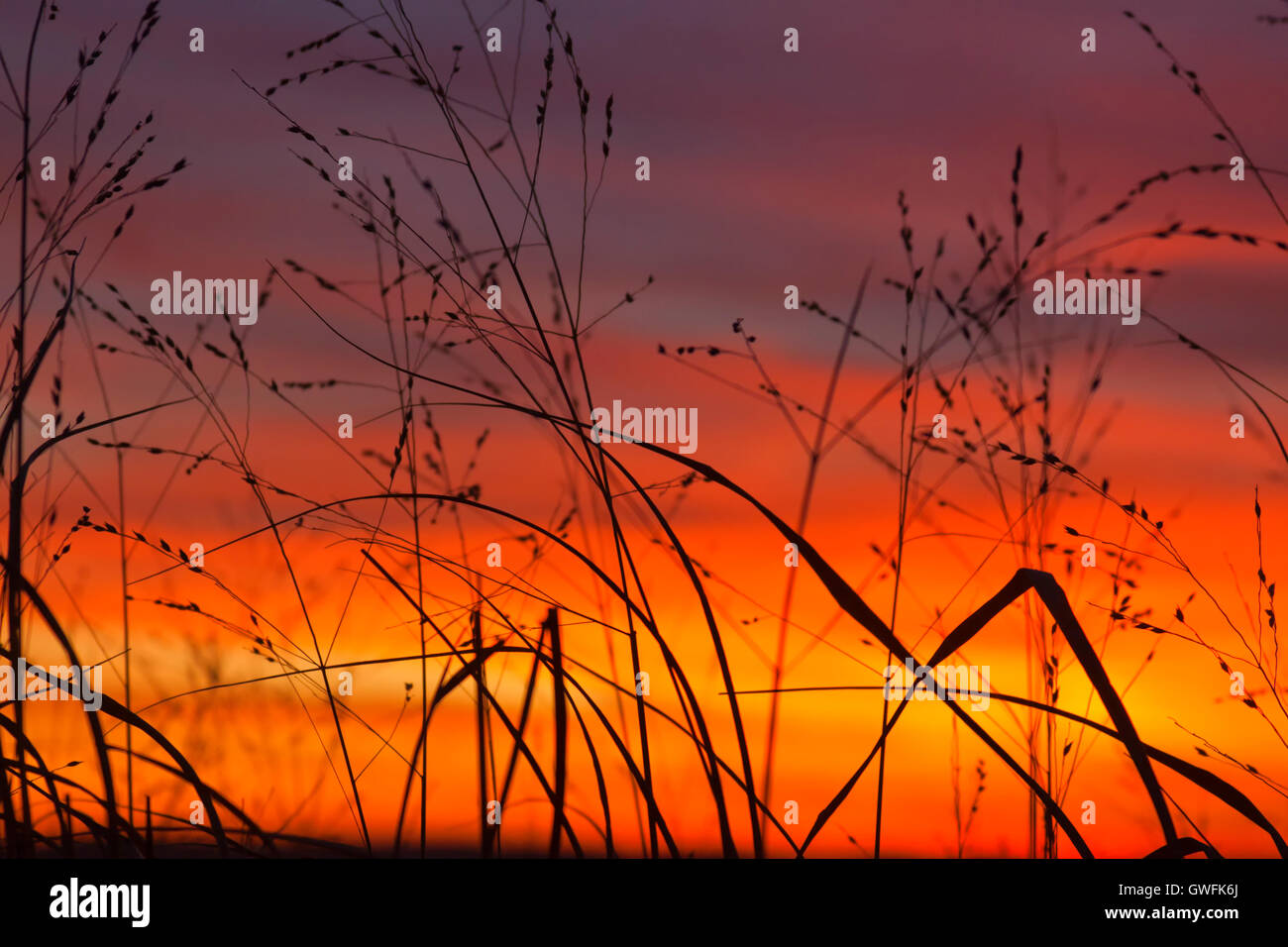 Beautiful natural colors of sunset Stock Photo - Alamy