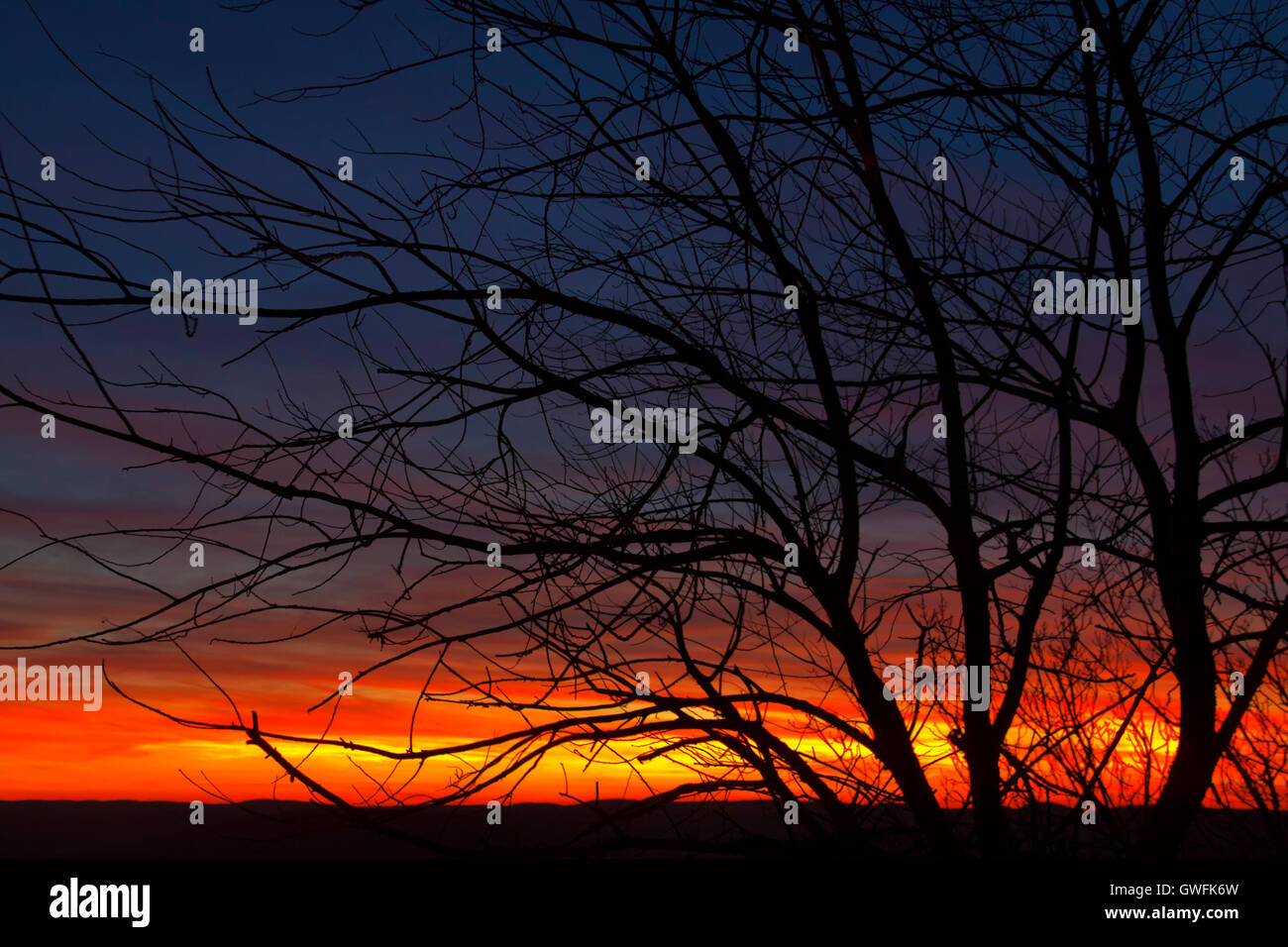 Beautiful natural colors of sunset Stock Photo - Alamy