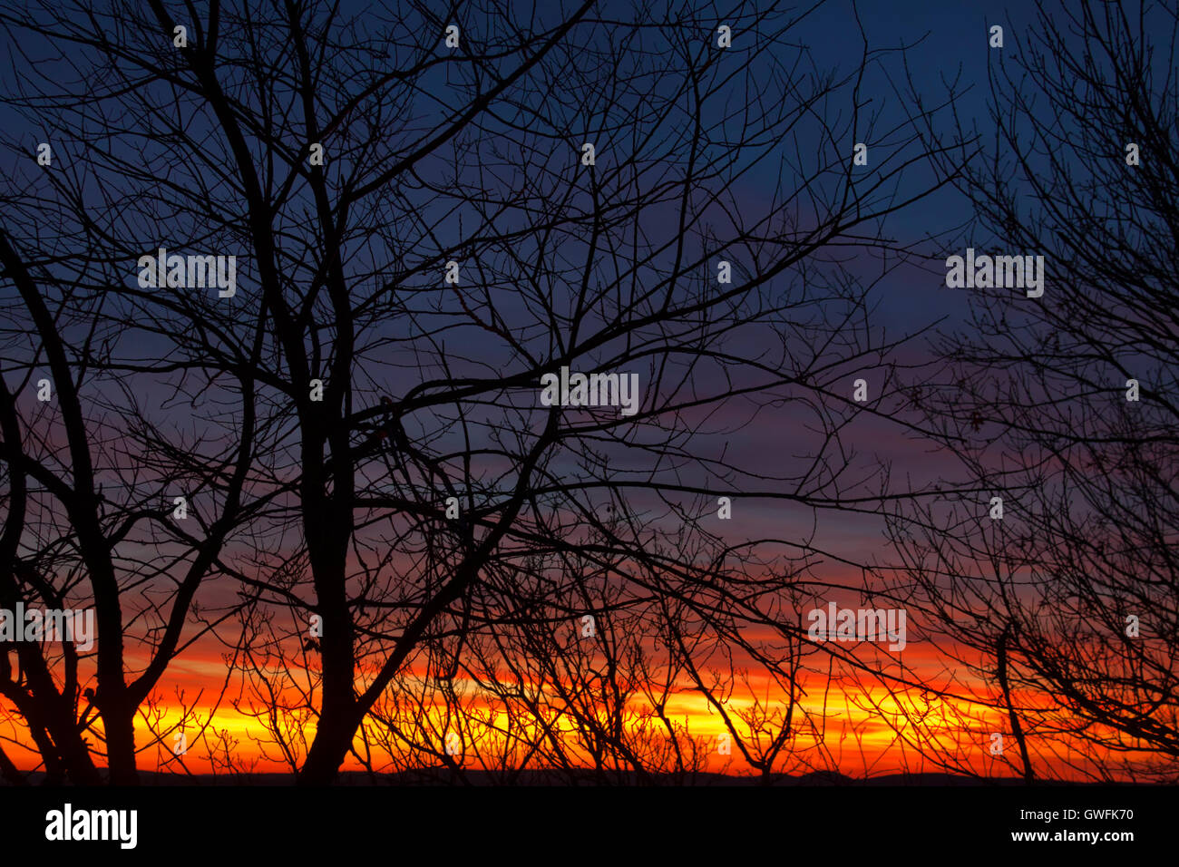 Beautiful natural colors of sunset Stock Photo - Alamy
