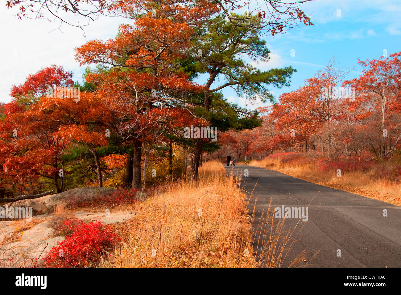 Beautiful fall colors by the country road Stock Photo - Alamy