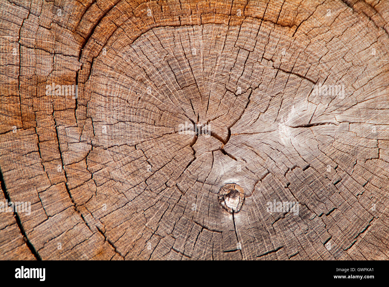Cut wood structure background Stock Photo - Alamy