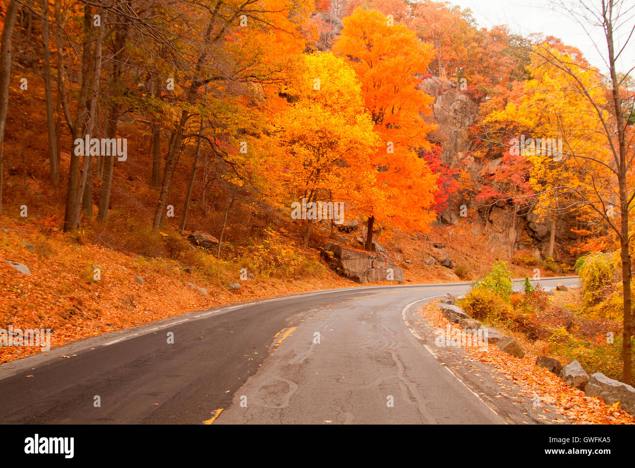 Beautiful fall colors by the country road Stock Photo - Alamy