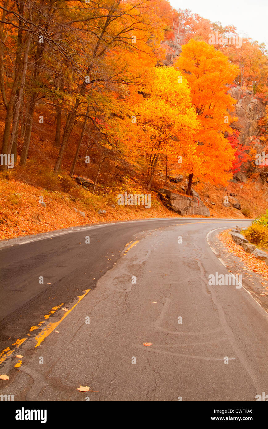 Beautiful fall colors by the country road Stock Photo - Alamy
