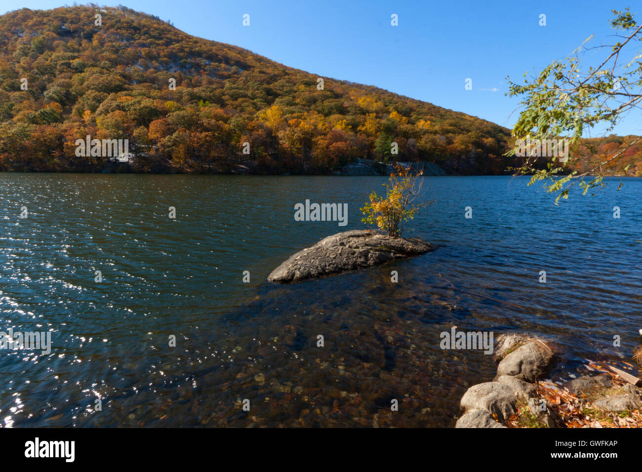 Beautiful fall colors by the forest lake Stock Photo - Alamy