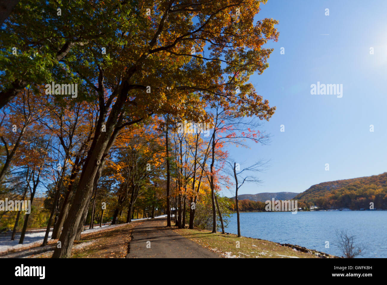 Beautiful fall colors by the forest lake Stock Photo - Alamy