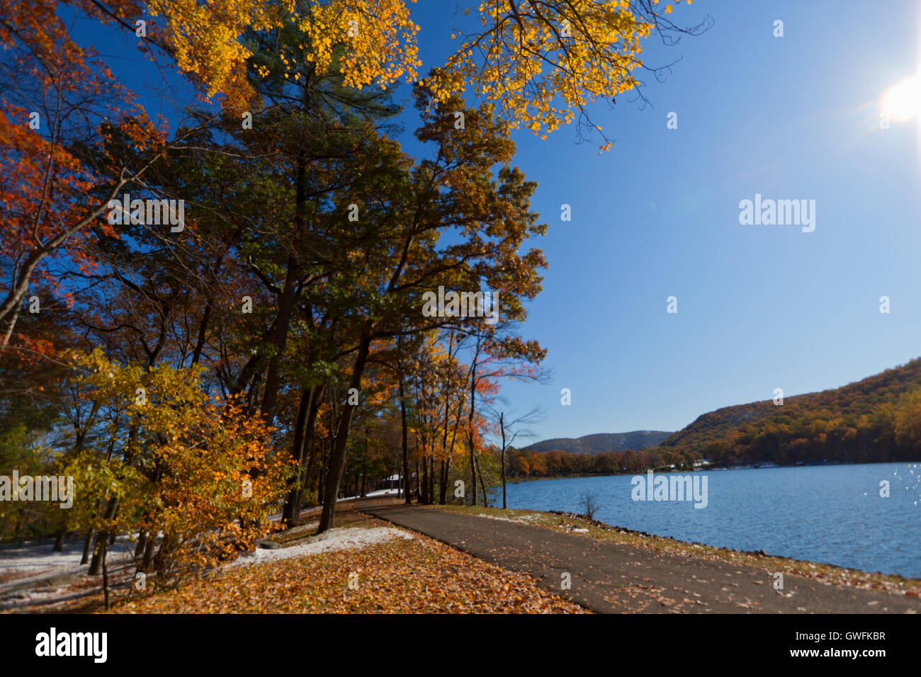 Beautiful fall colors by the forest lake Stock Photo - Alamy