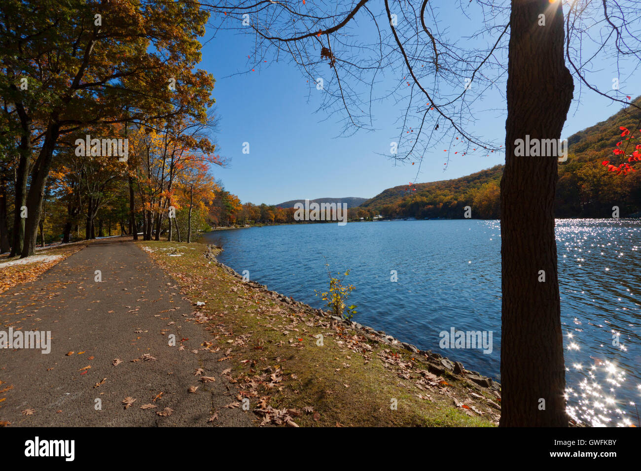 Beautiful fall colors by the forest lake Stock Photo - Alamy