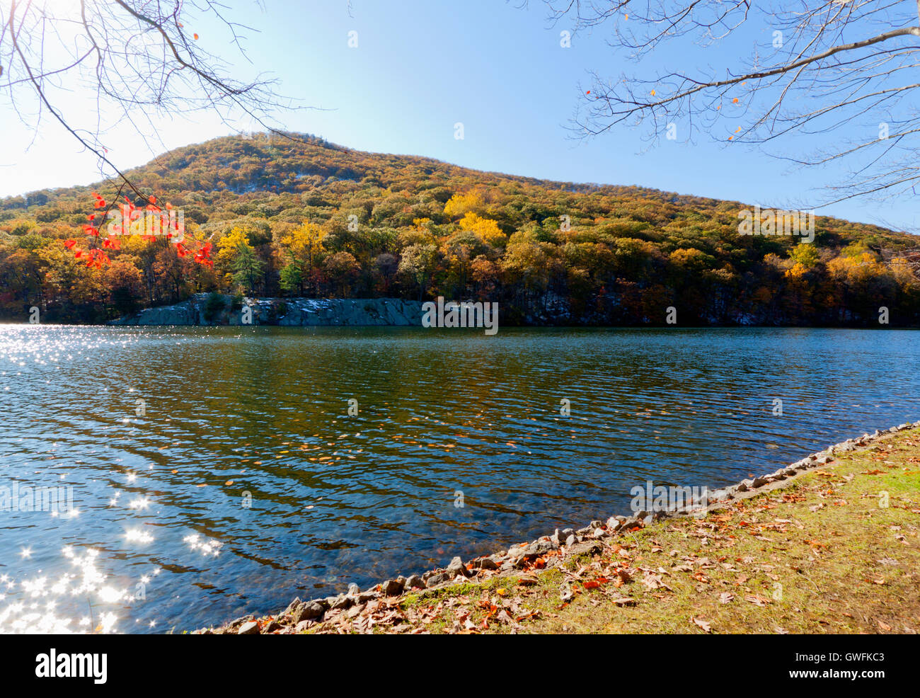 Beautiful fall colors by the forest lake Stock Photo - Alamy